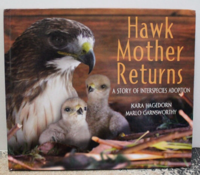 Hawk Mother Ser.: Hawk Mother Returns : A Story of Interspecies ...
