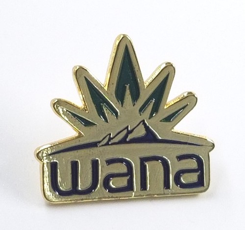 Wana Brand Logo Green Black Gold Tone Enamel Lapel Pin Advertise | eBay