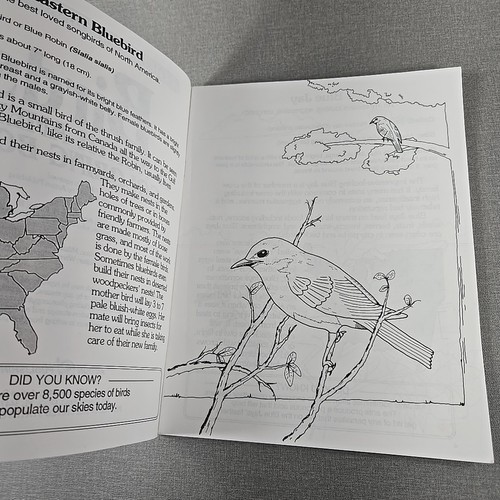 Color and Learn Birds Of North America Coloring Book 1993 Unused | eBay