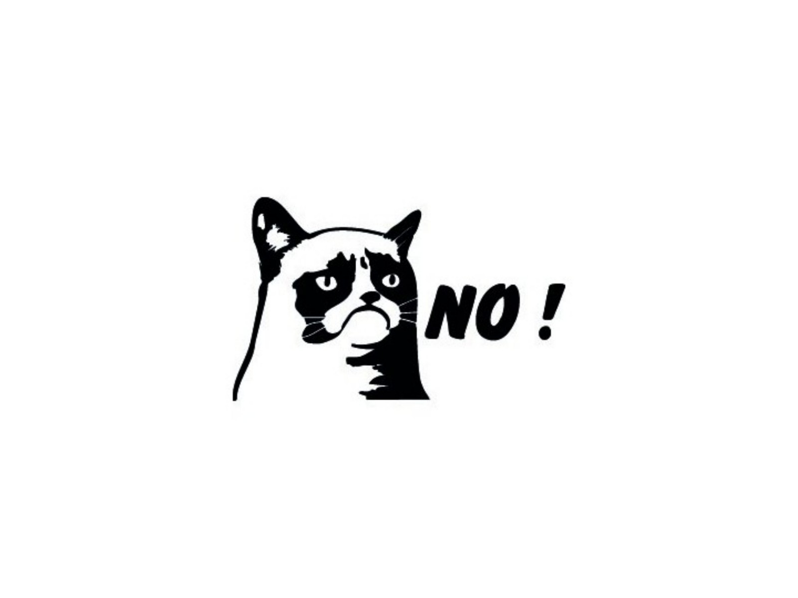 NO CAT NOOO! CAR VINYL STICKER HOME LAPTOP WINDOW EURO COOL FUNNY MEME ...