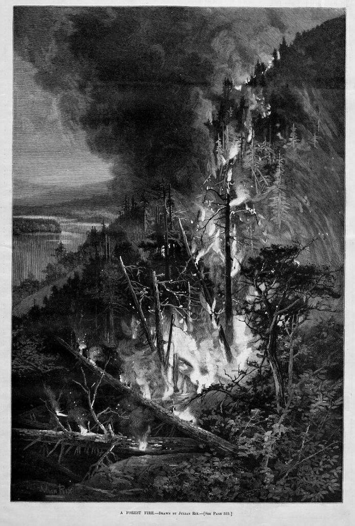 FOREST FIRES IN WISCONSIN 1886 ANTIQUE ENGRAVING FOREST FIRE HISTORY | eBay