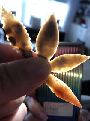 Very Rare Thin Finest Western Sahara 4 Neolithic Translucent Points ...
