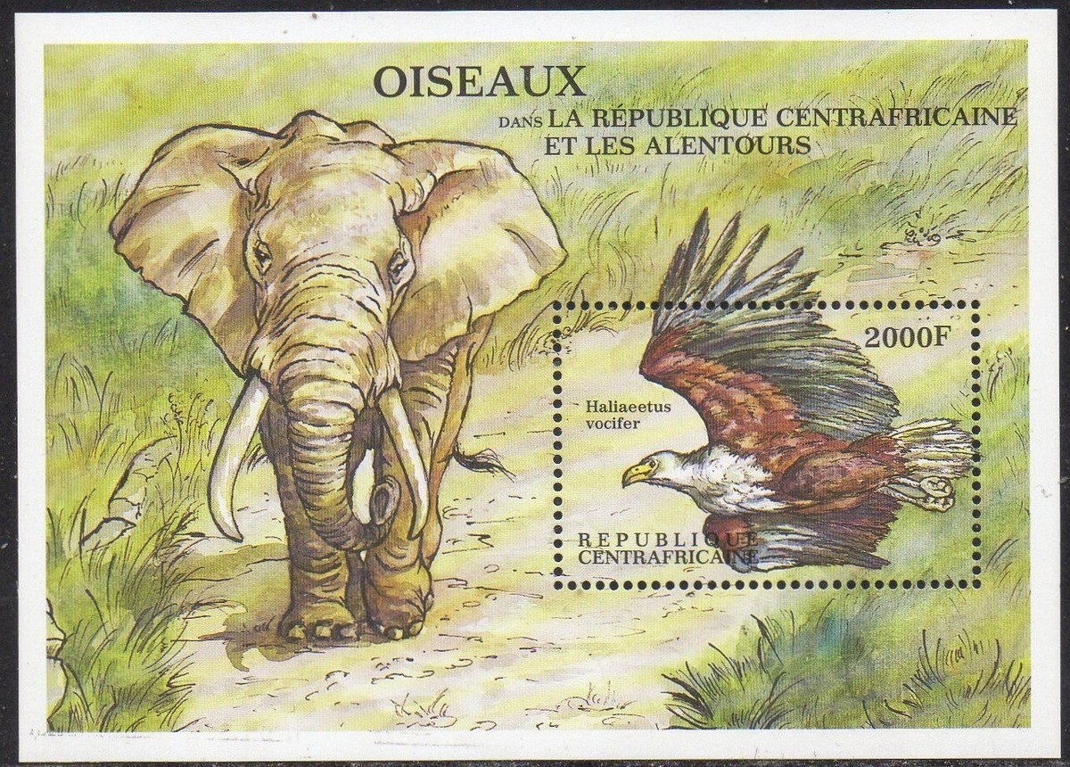Central African Animals