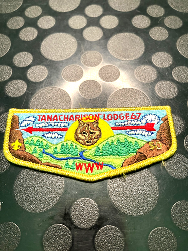OA TANACHARISON LODGE 67 S4 FLAP, GMY 50 AND BORDER, MERGED 1993 BV | eBay