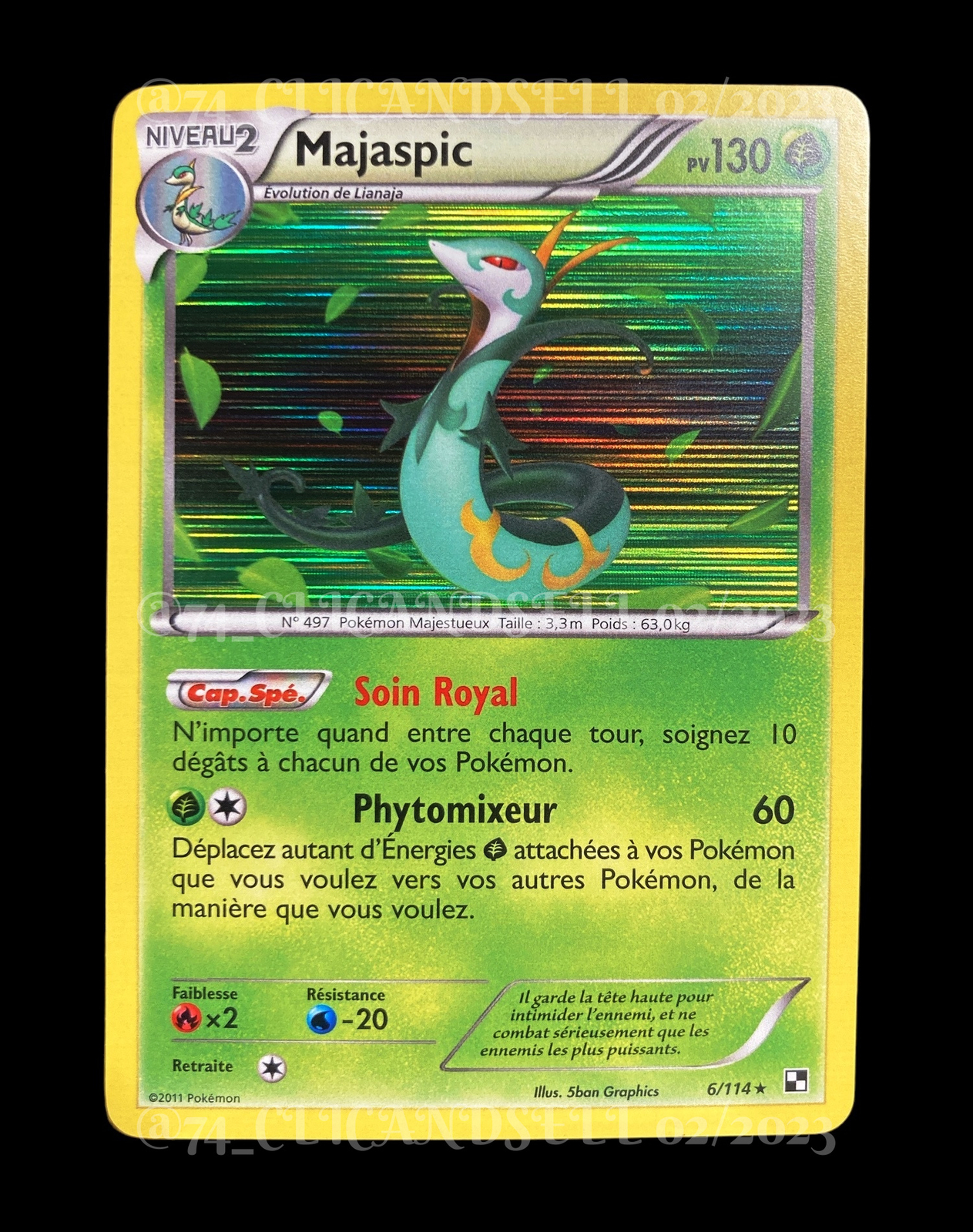carte Pokémon Majaspic 6/114 Noir & Blanc NEUF FR | eBay
