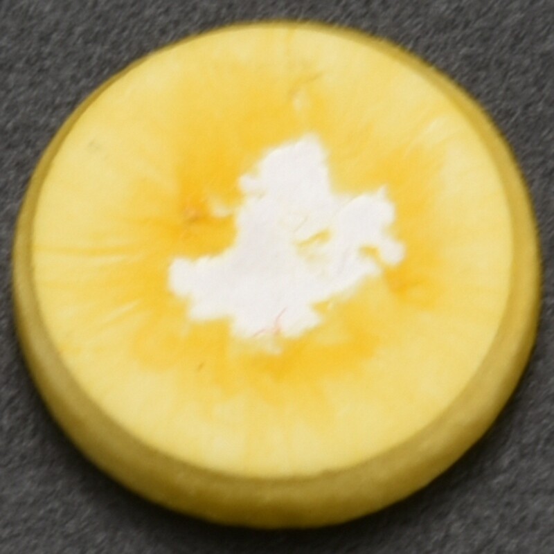 16 pcs Flute Leather Pads Replacement Durable Exquisite Wind Instrument ...