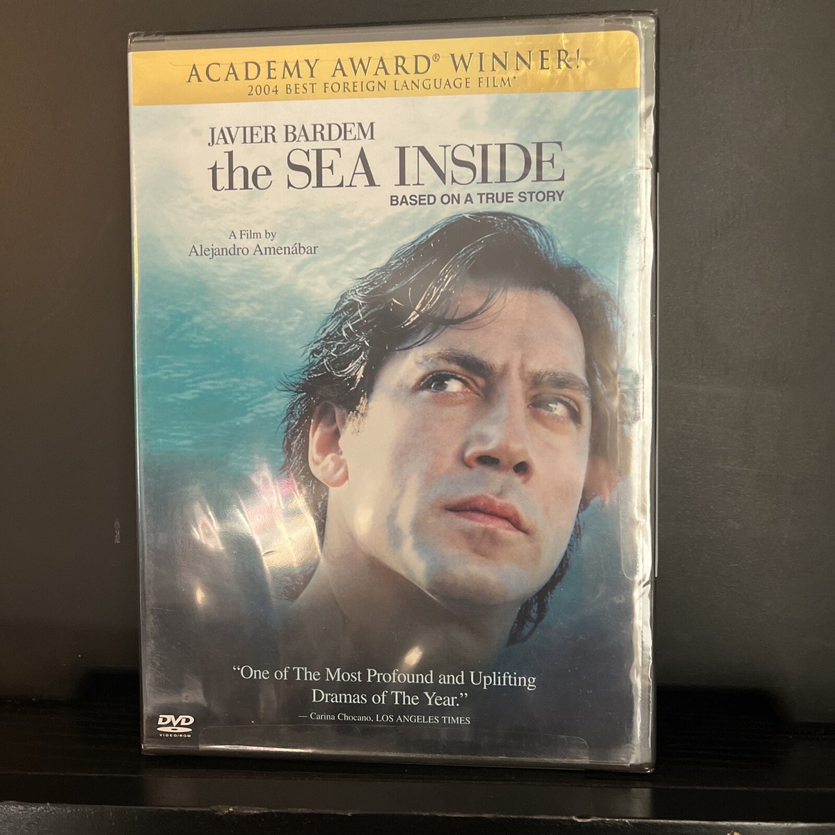 The Sea Inside 2004