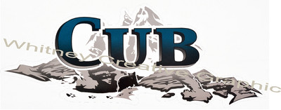 "CUB" RV LOGO Graphic decal lettering 39.75"X15.75" | eBay