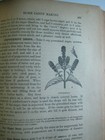 ANTIQUE ️ VICTORIAN COOK BOOK_RECIPES_HOUSEKEEPING_MEDICAL_HOME HINTS ...