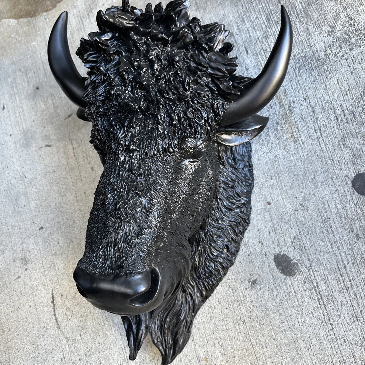 Mounted Bison Head