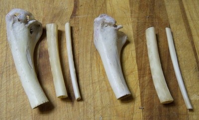 WILD TURKEY WING BONES - 2 SETS (all three bones), 6 BONES (total ...