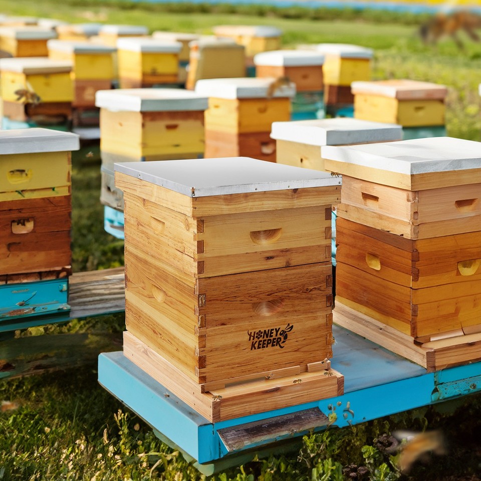 Bottom Board for Bee Hive, 100% Beeswax, Stainless Steel Mesh for 8 ...