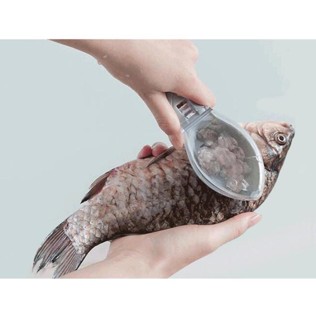 4X Multi-function Fish Scraper Scale Remover Fishing Knife Cleaning | eBay