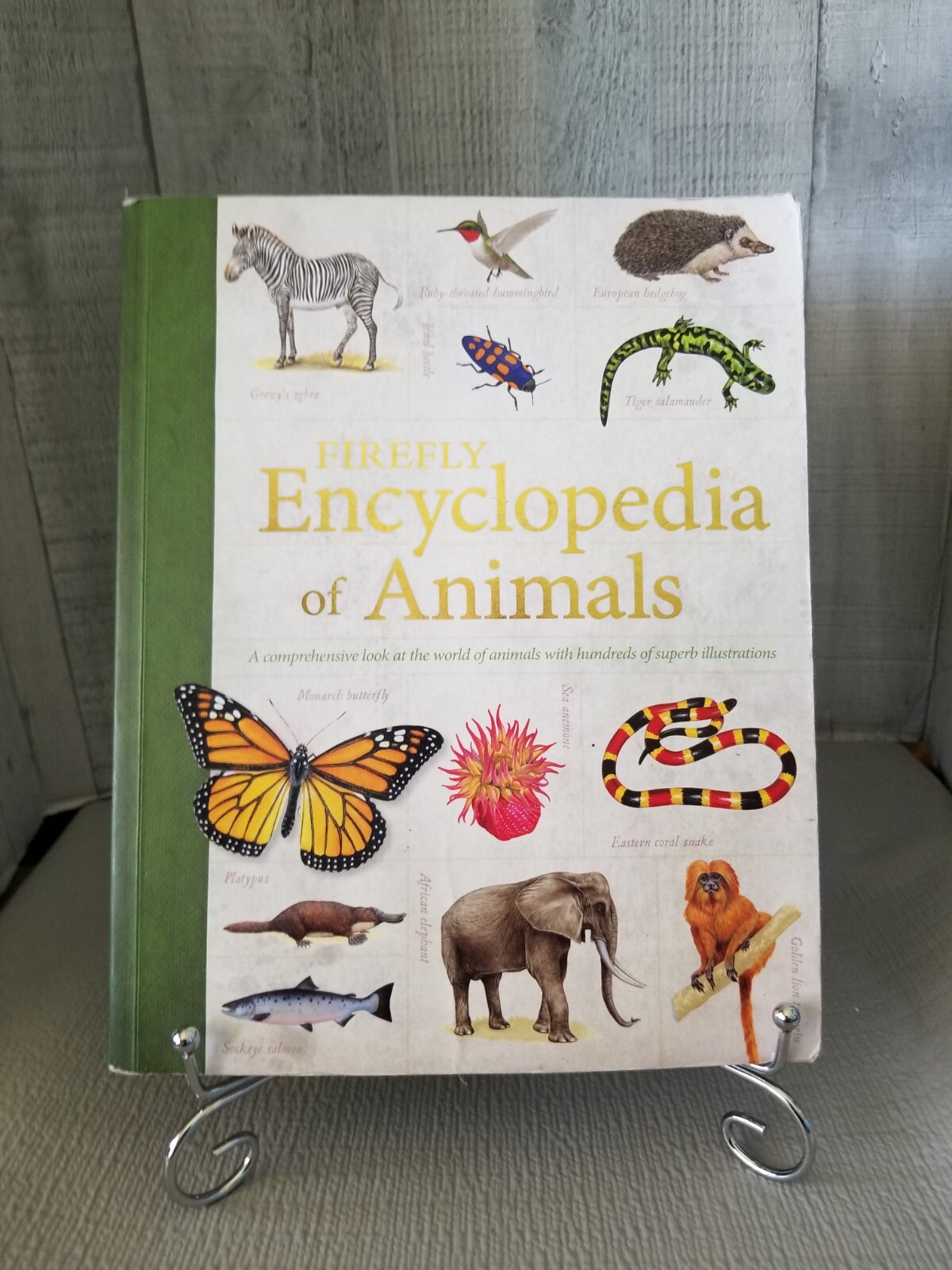 Firefly Encyclopedia Of Animals With Colorful Illustrations Book ...