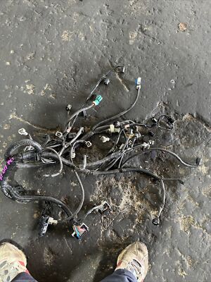 FORD BF FALCON PETROL ENGINE LOOM - 4 SPEED AUTO - ST 880 | eBay Australia