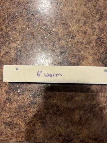 6 Inch Worm Mold | eBay