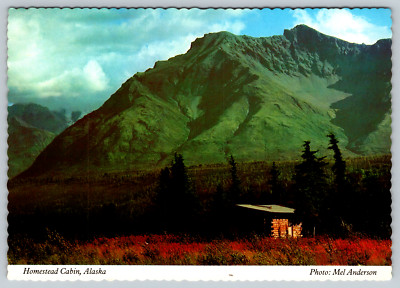 Alaska AK Homestead Cabin Anderson Mel Photo Joe Anchorage Vintage ...