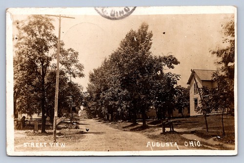 J87/ Augusta Ohio RPPC Postcard c1910 Street View Homes Carroll County ...