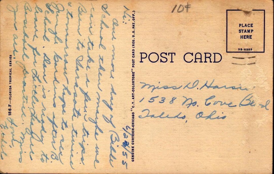 FLORIDA TROPICAL SERIES POSTCARD-"HOOKED" THE TARPIN LEAPS TO THE ...