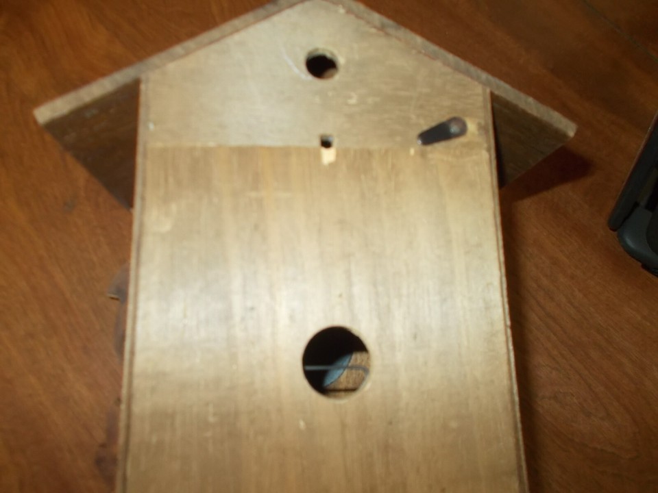 CUCKOO CLOCK CASE | eBay