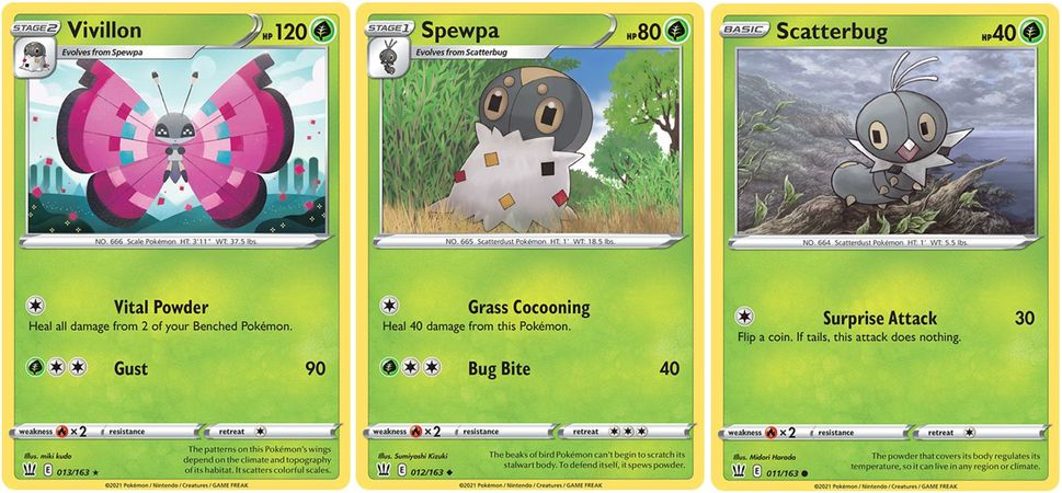 Scatterbug Evolution