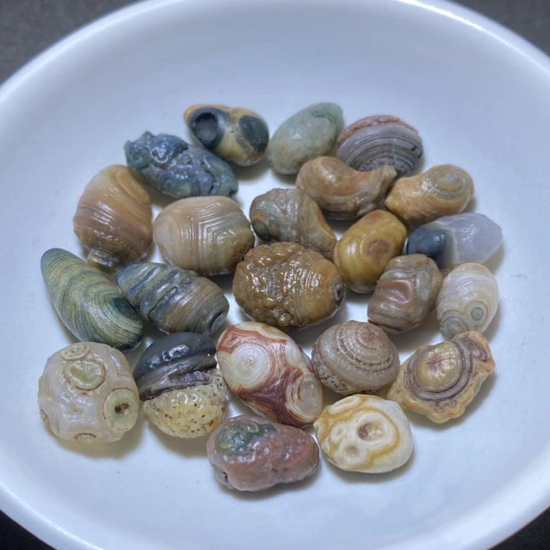 100% Natural Gobi Agate Eyes Agate Stone Collection Specimen 39G | eBay UK