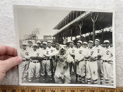 1907 Chicago Cubs Baseball Team Photograph - 1950s 1960s 1970s ?? Vtg ...