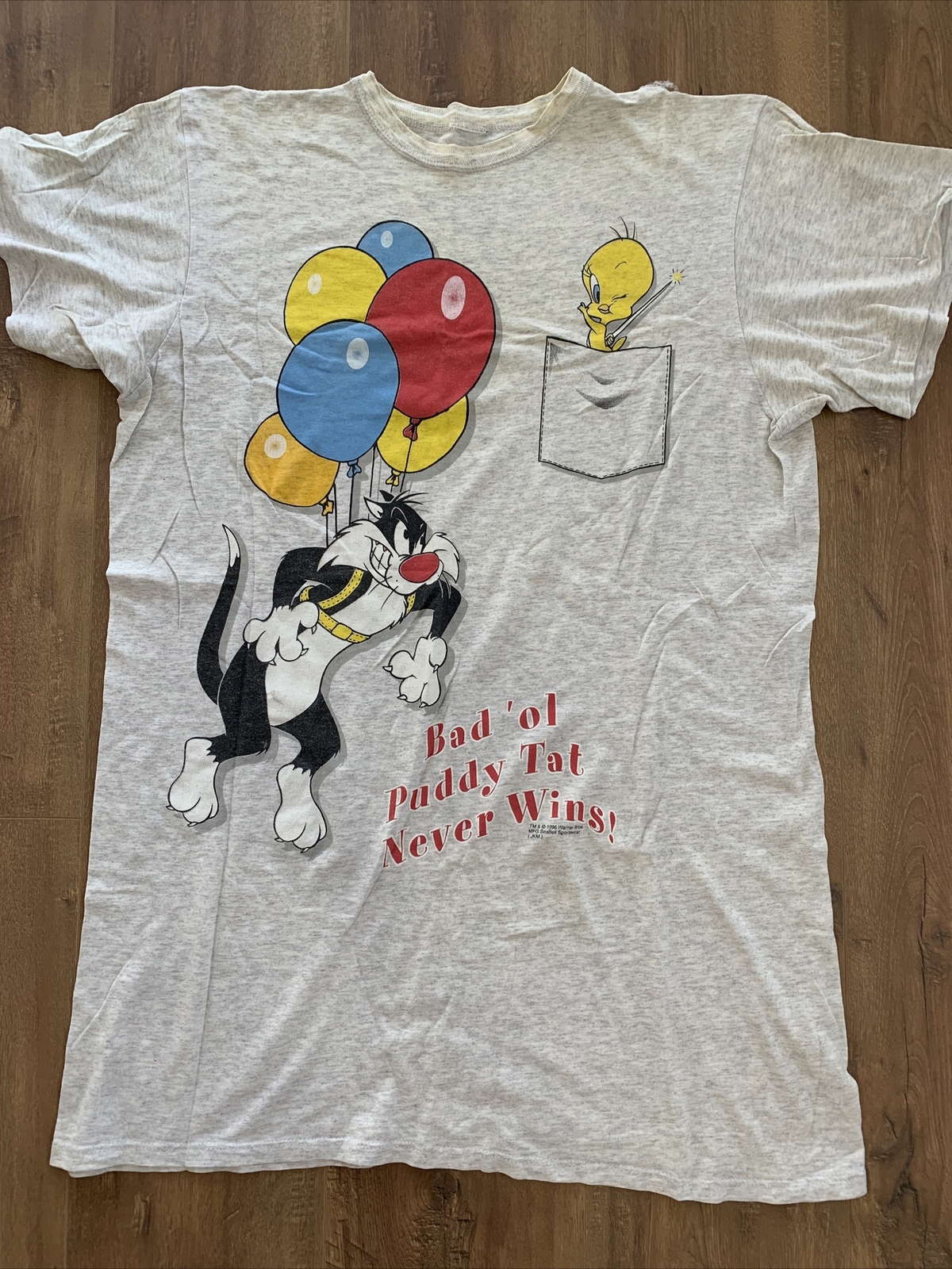 Vintage 1996 Looney Tunes Cartoon Tweety BAD PUDDY TA… - Gem
