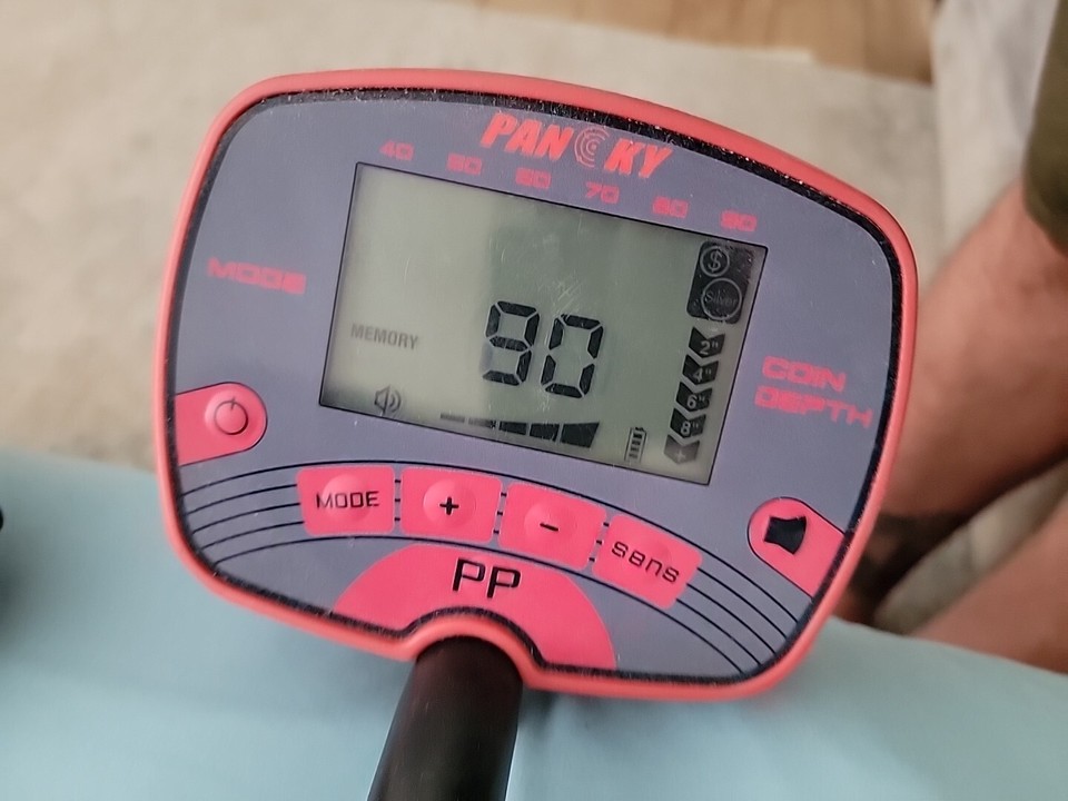 Panky metal detector | eBay
