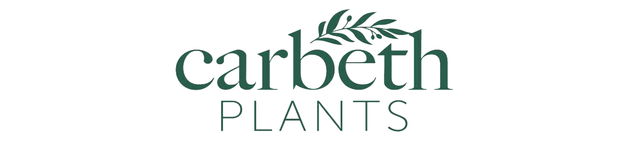 Carbeth Plants | eBay Stores