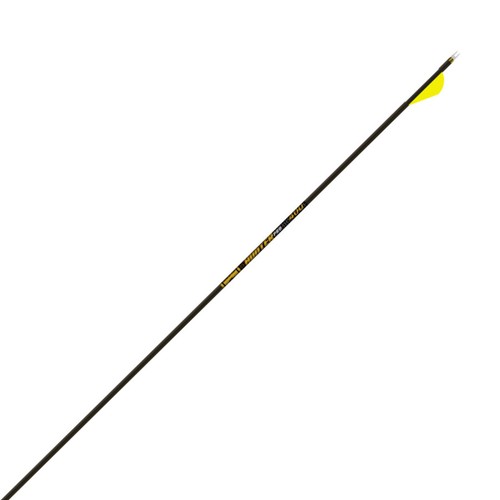 Gold Tip Hunter Pro 400 Arrows - Black (Pack of 12) (HPRO400A2) for ...