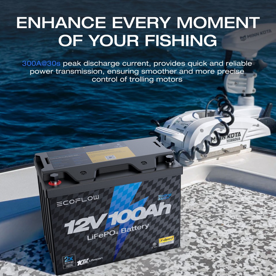EcoFlow 12V 100Ah LiFePO4 Deep Cycle Lithium Battery BMS For RVs ...