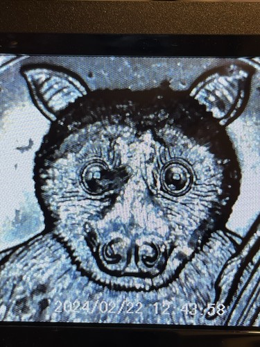 2020 American Samoa Nat’l Park Struck Thru eye Error Coin Quarter Blind ...