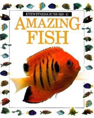 Amazing Fish (Eyewitness Junior) - Paperback By Mary Ling - GOOD ...