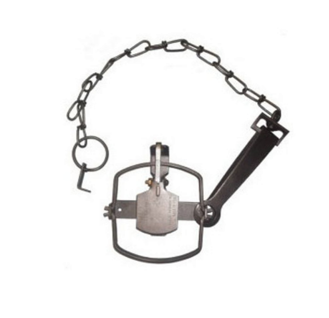 Sleepy Creek #5 Long Spring Trap for Wolf & Cougar Hunting – New | eBay