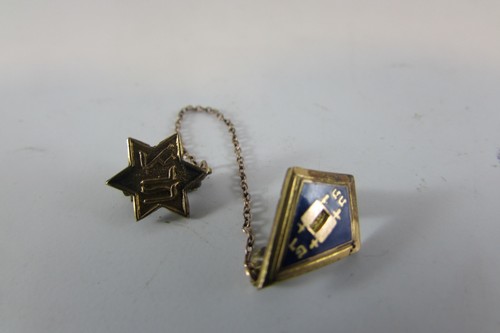Stunning Vintage Rare judaica Jewish star enamel Hebrew masonic pin tie ...