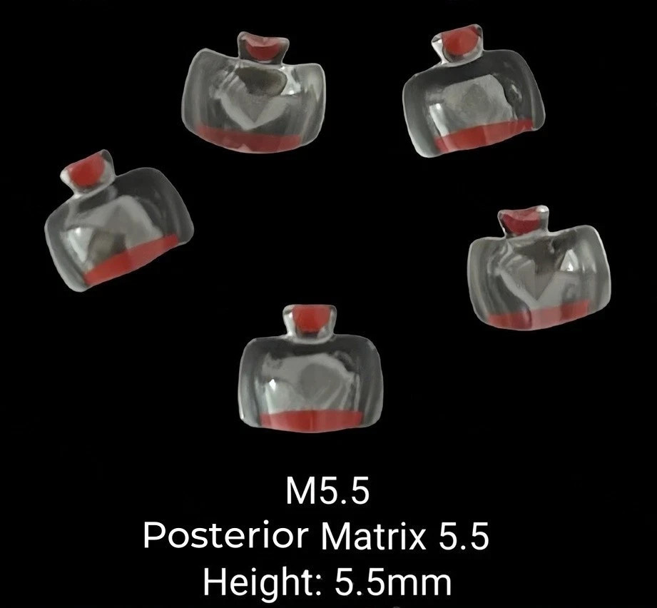 Dental Transparent BT Matrices Clear Matrix Anterior Posterior Fit ...