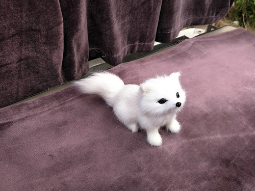 a pair of simulation lying and look up fox models resin&fur white fox ...