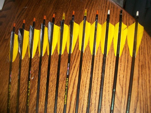 One Dozen Vintage Carbon Arrows | eBay