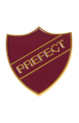 Harry Potter Gryffindor Prefect Shield Pin Universal Studios Wizarding ...