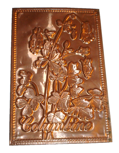 Vintage Unused Columbine Kopper Kard Copper Engraved Postcard USA New ...