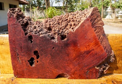 Red!! AMBOYNA BURL LUMBER Live Edge Block Blank Wood Epoxy DIY Resin ...