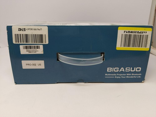 Bigasuo Hd 9000l Bluetooth Projector Built In Dvd Player, Outdoor Movie ...