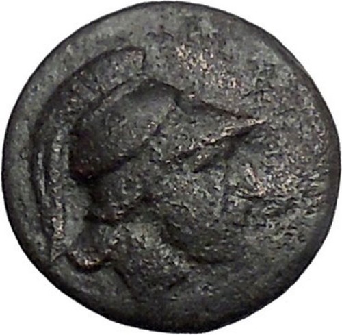 Opus in LOKRIS OPUNTIA 330BC Authentic Ancient Greek Coin Athena Grapes ...