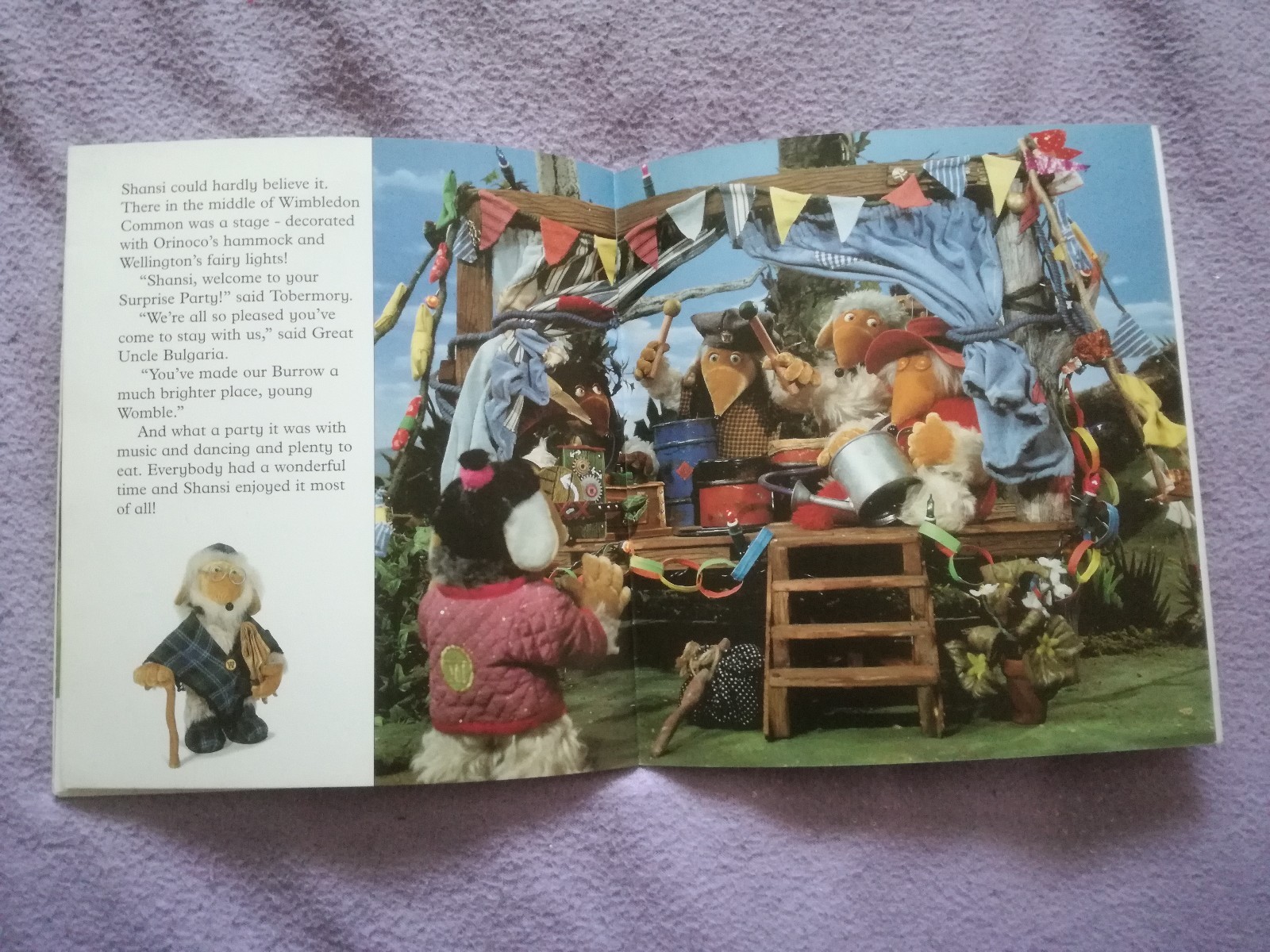 THE WOMBLES - SHANSI'S SURPRISE - ELIZABETH BERESFORD/FILMFAIR 1999 1st ...