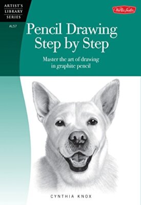 Pencil Drawing Step by Step: Master the ... by Cynthia Knox Paperback ...