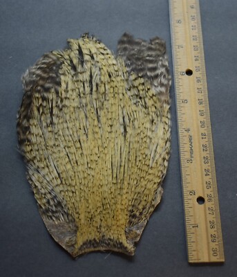 Lot 360, Natural Colored India Rooster Streamer Neck Cape Feathers Fly ...