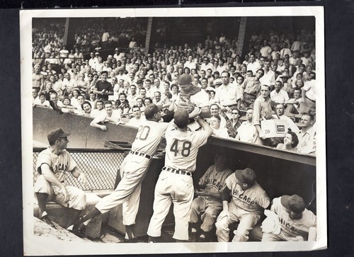 Andy Seminick held in stands by Cubs 1950 Press Photo Philadelphia ...