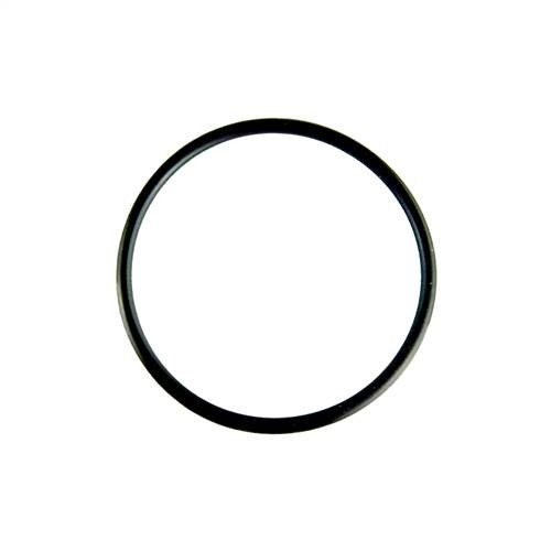 O-Ring (31X2(2031)) #079003001015 for Homelite, Ryobi, Ridgid | eBay