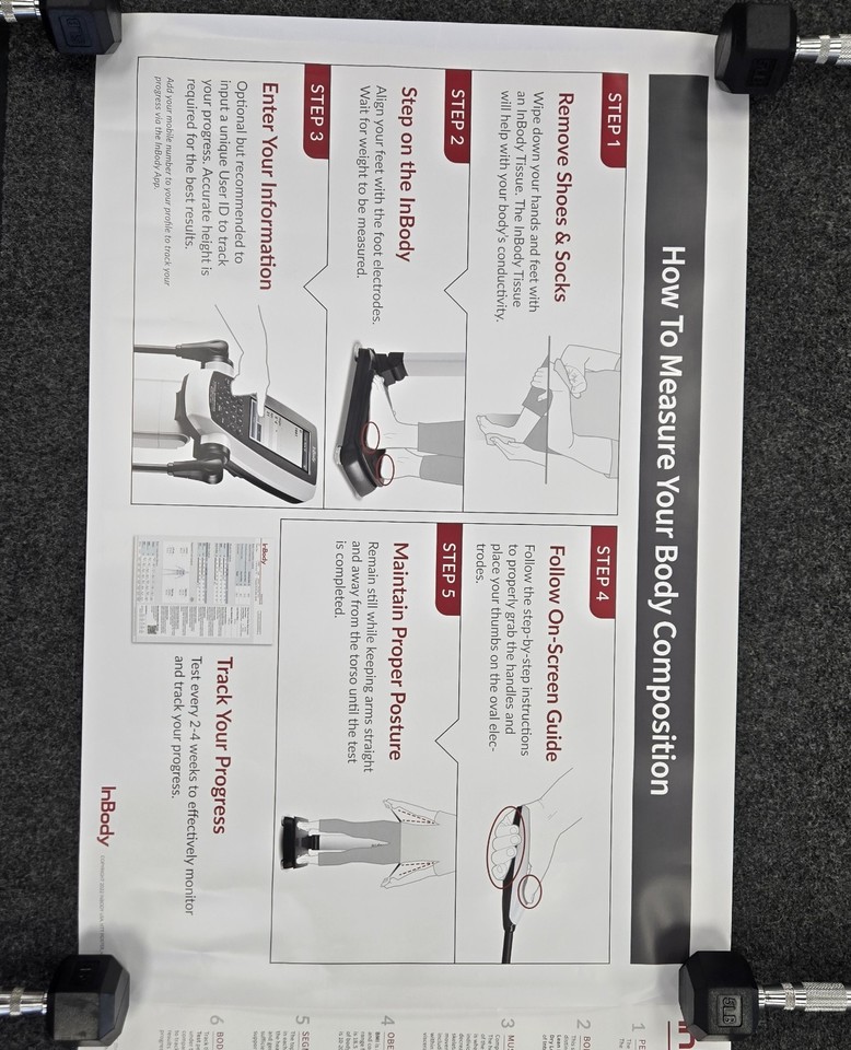 InBody 270S Body Composition Analyzer with Printer: Professional ...